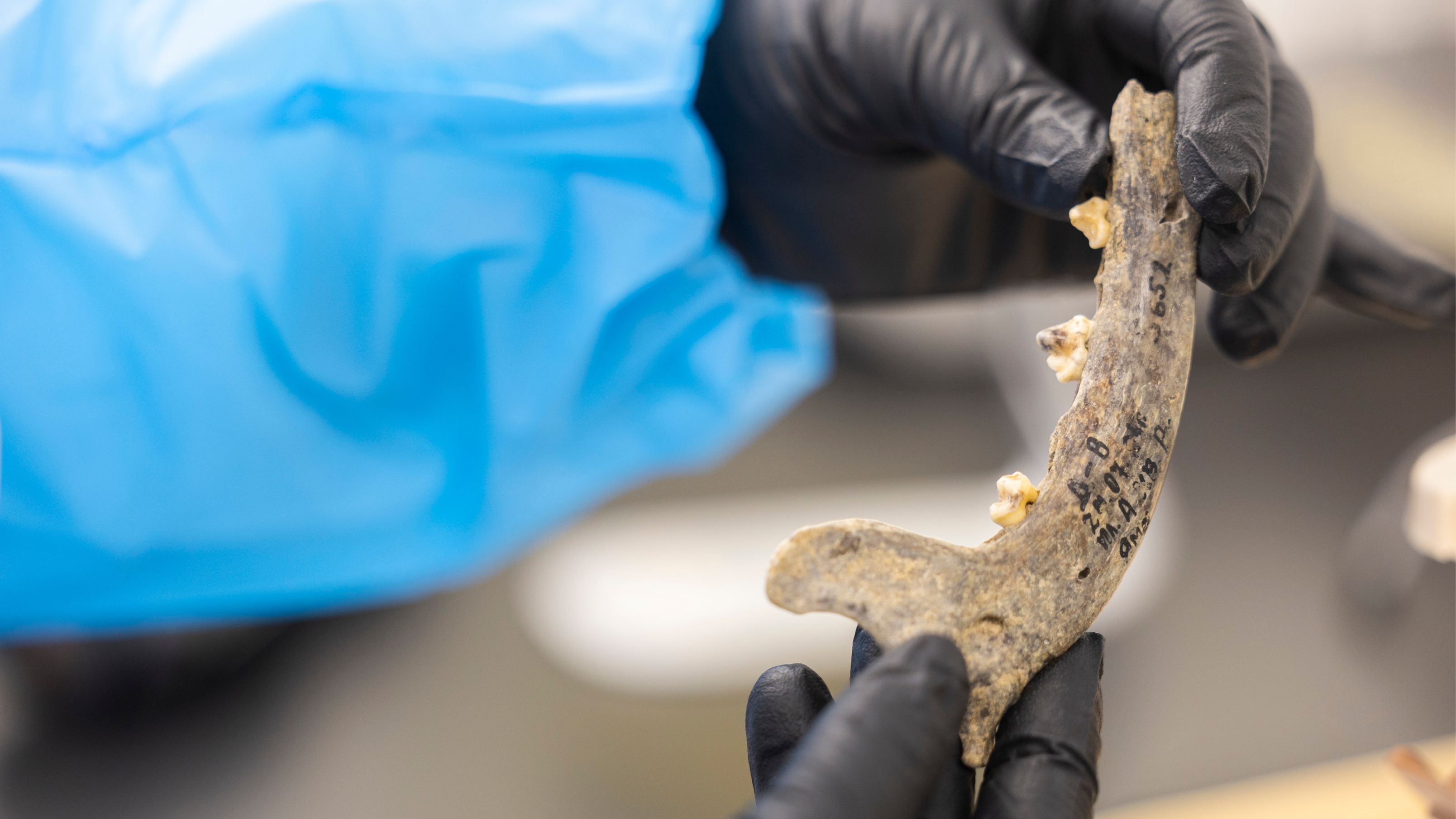 Hidden Emory Part Two